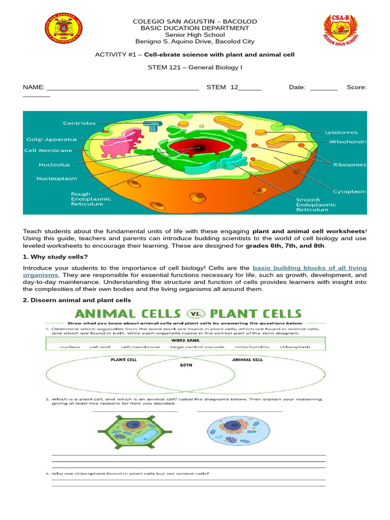 Asynch Activity 1 Cell Ebrate Science With Plant and Animal Cell | PDF