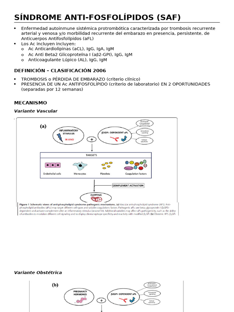 Síndrome Anti-Fosfolípidos (Saf) : Definición - Clasificación 2006 | PDF