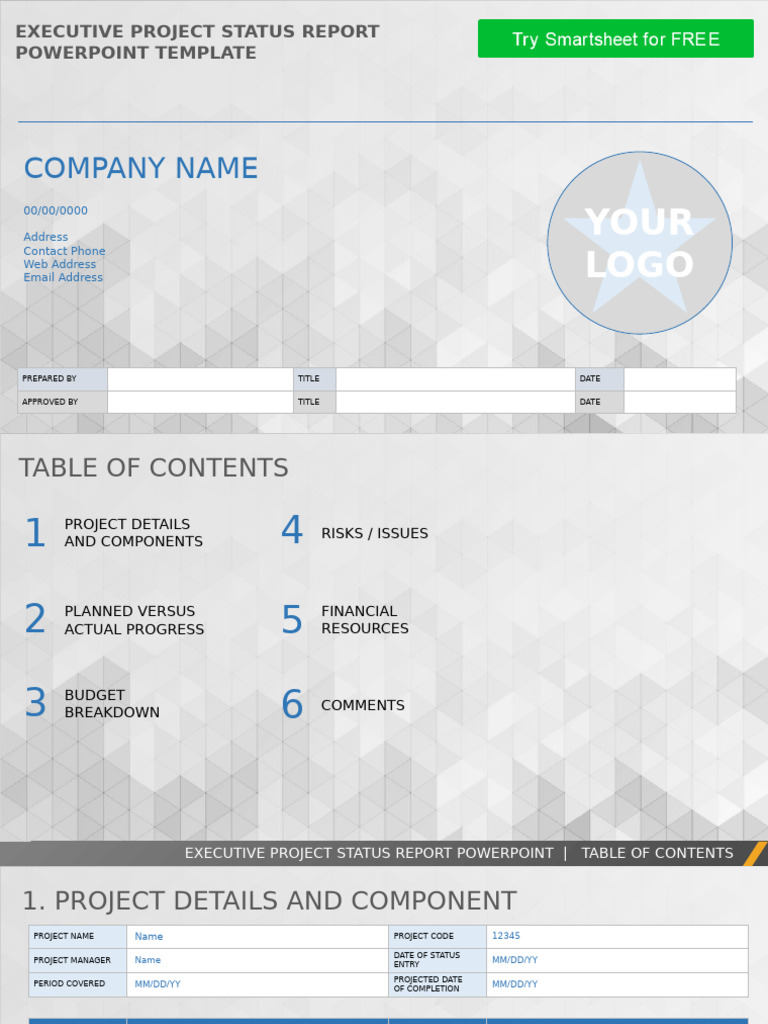 IC Executive Project Status Report Powerpoint 11839 Powerpoint | PDF