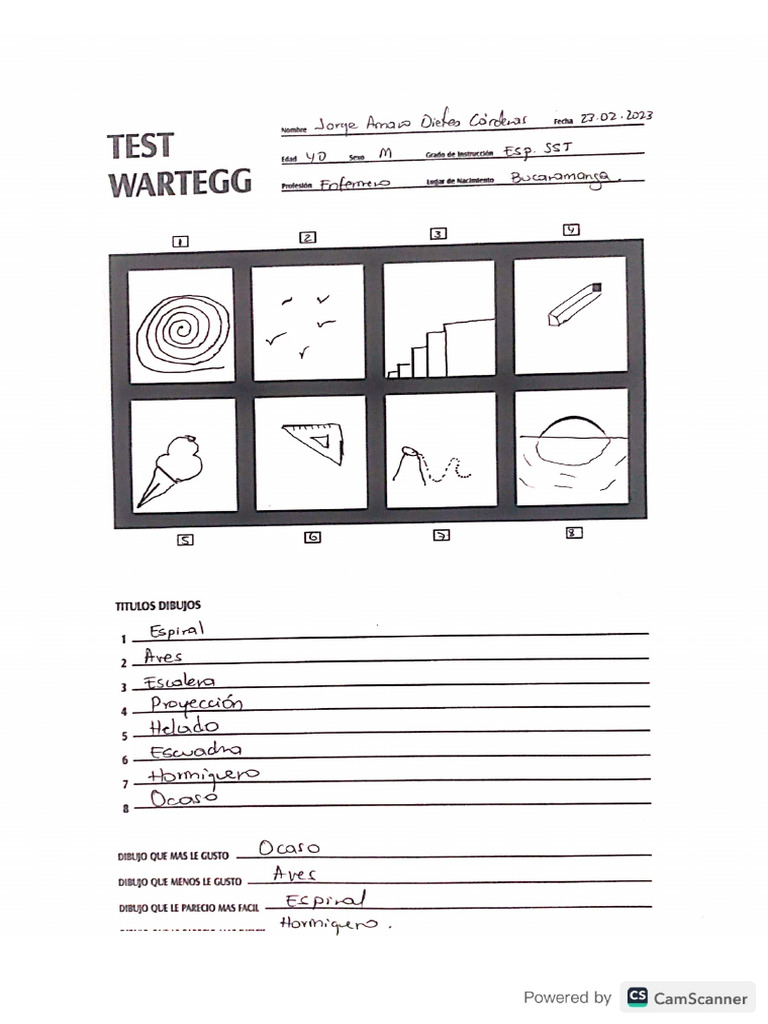 Test Wartegg | PDF
