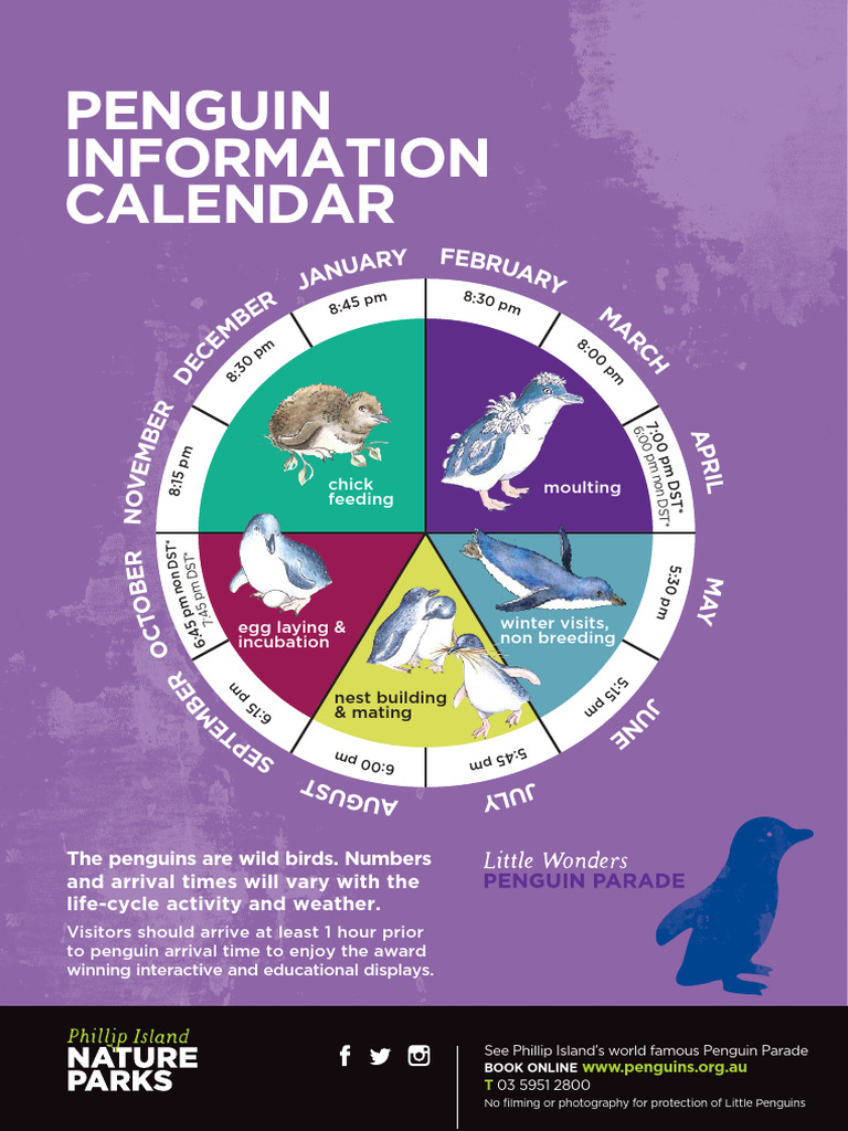Penguin Calendar 1 | PDF