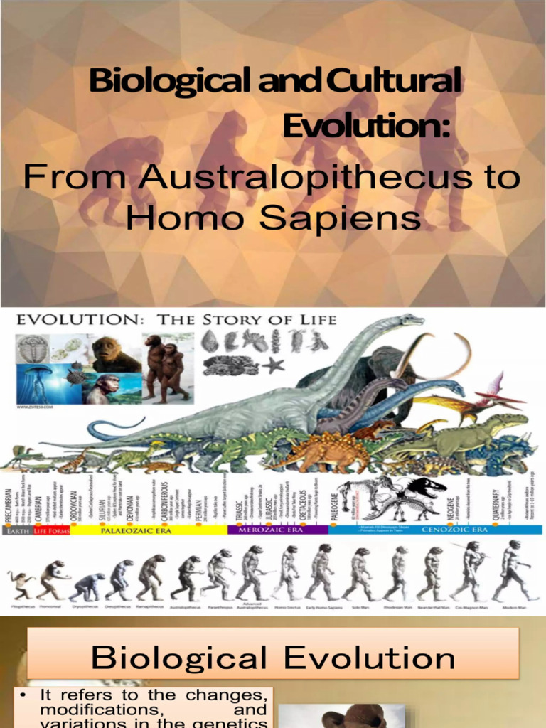 The Evolution of Man1.1 | PDF