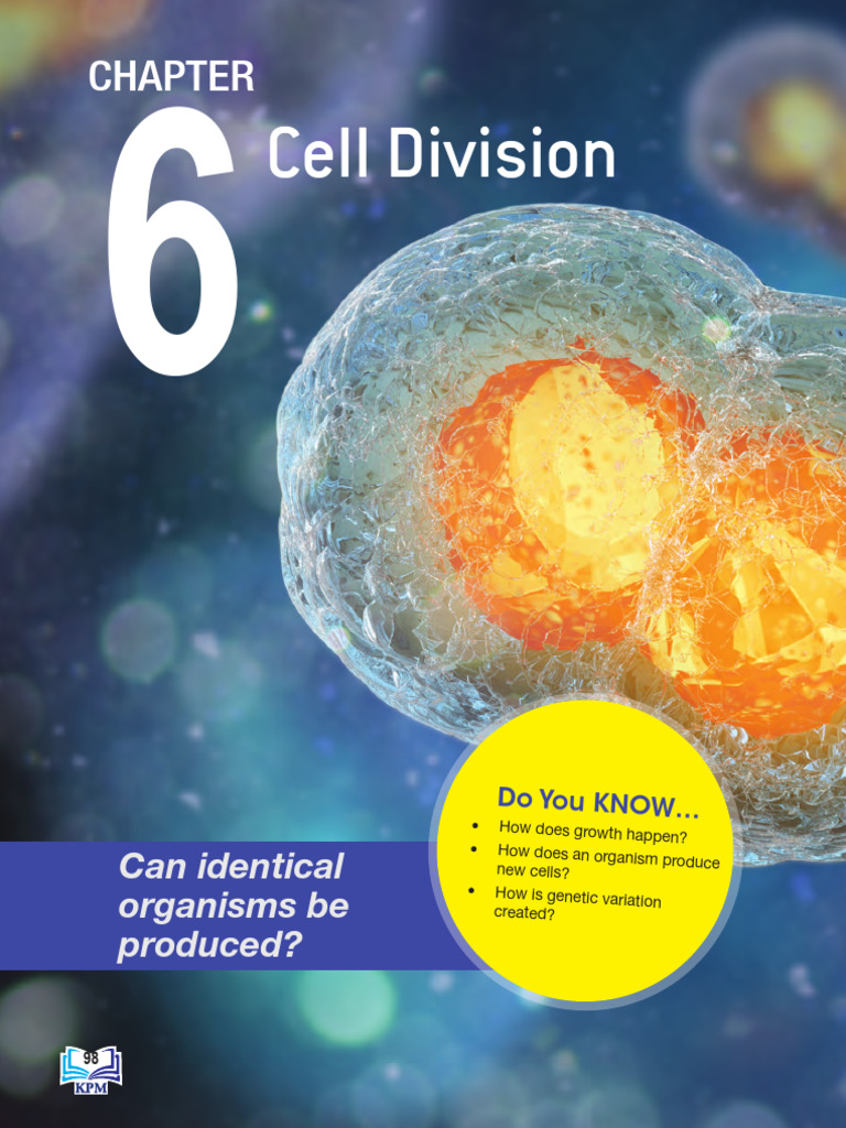 06 Cell Division | PDF