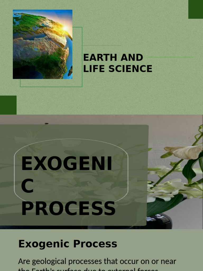 Exogenic Process | PDF