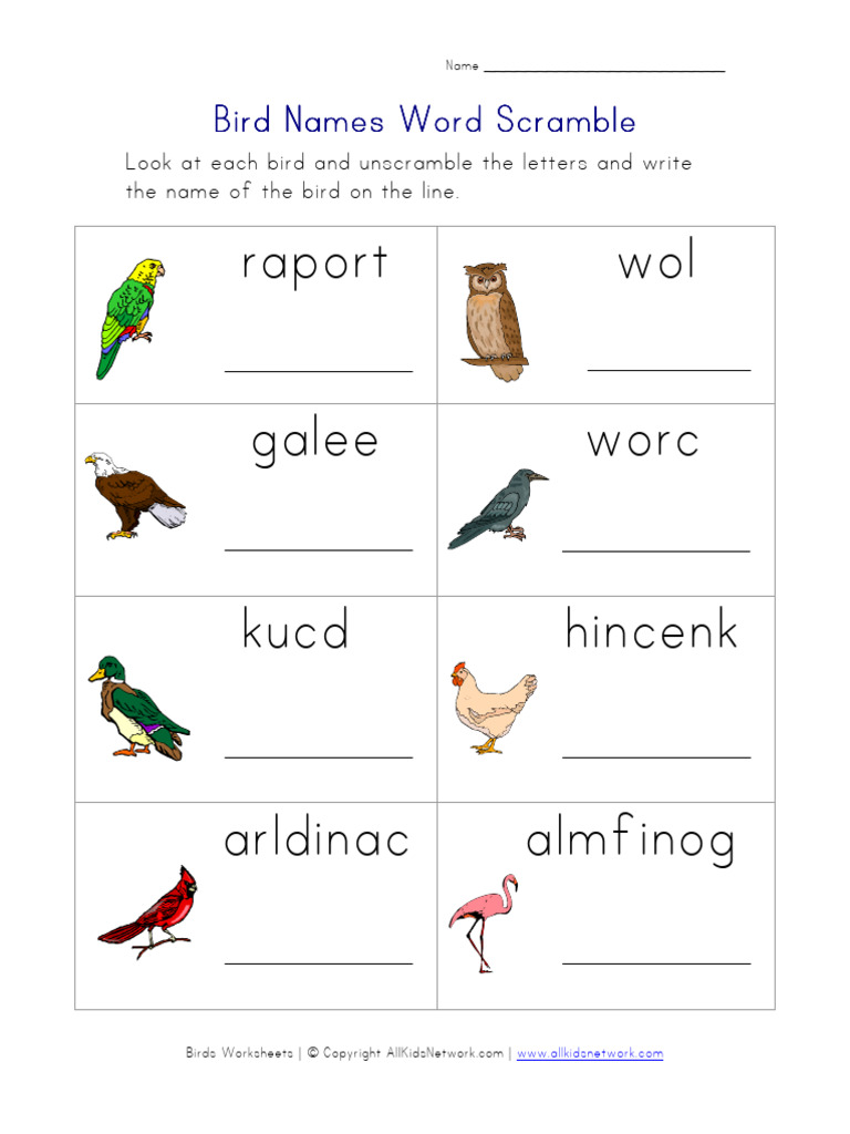 Birds Word Scramble | PDF