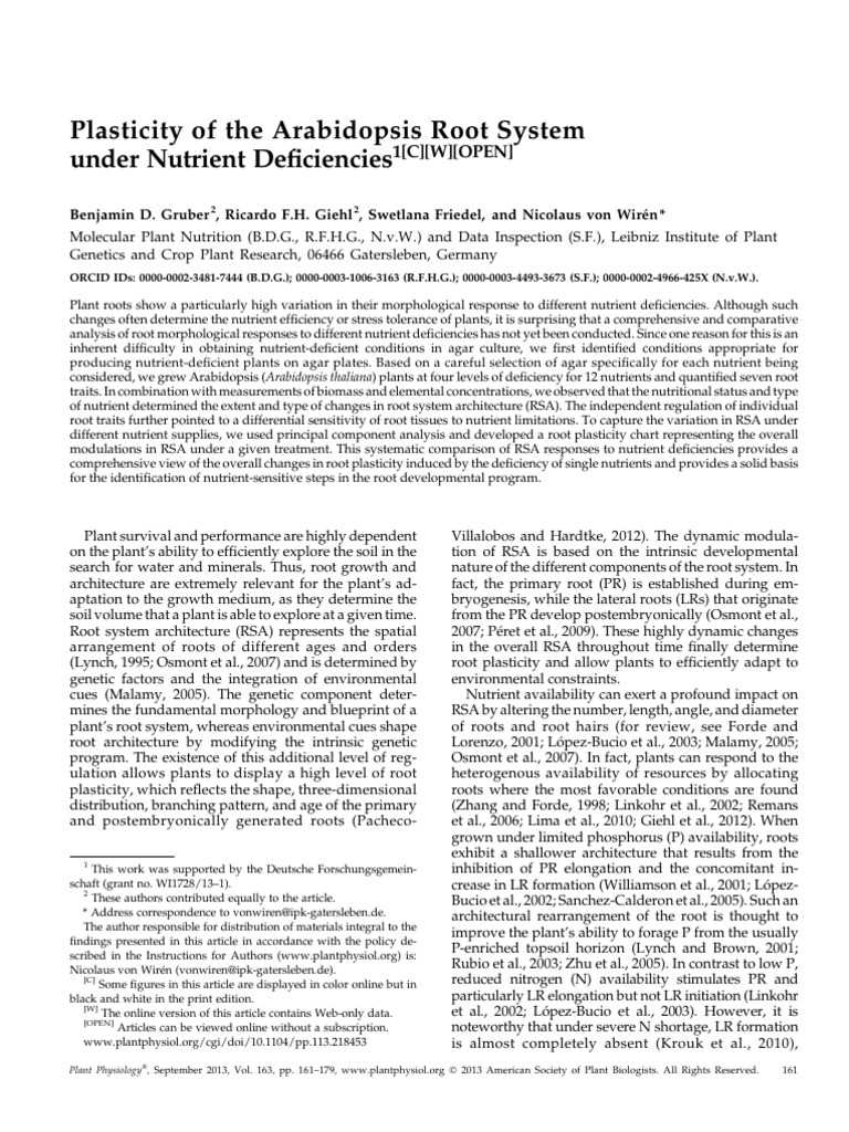 Plasticity of the Arabidopsis Root System | PDF