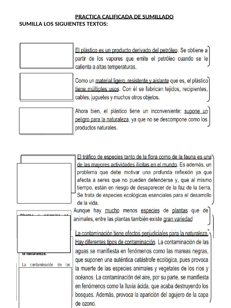 Práctica Calificada de Sumillado | PDF