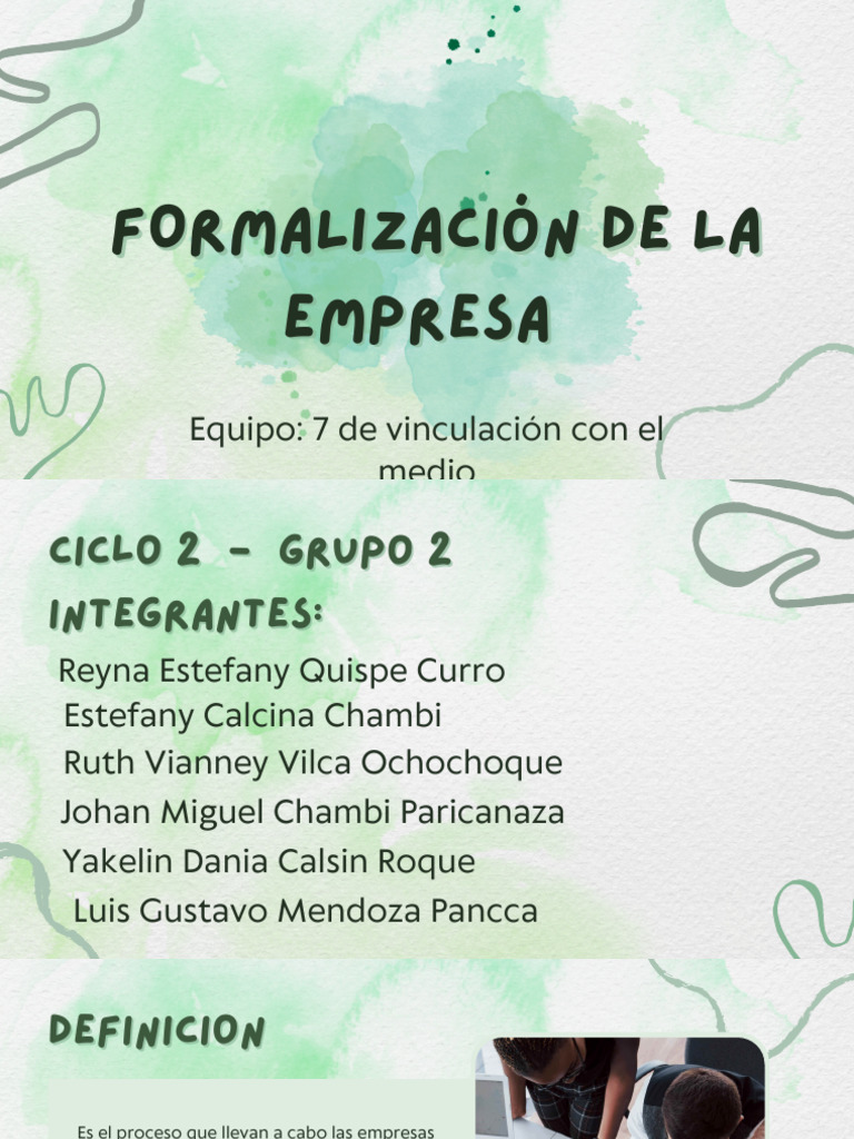 Formalizacion de La Empresa | PDF