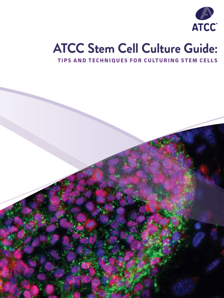 ATCC Stem Cell Culture Guide | PDF