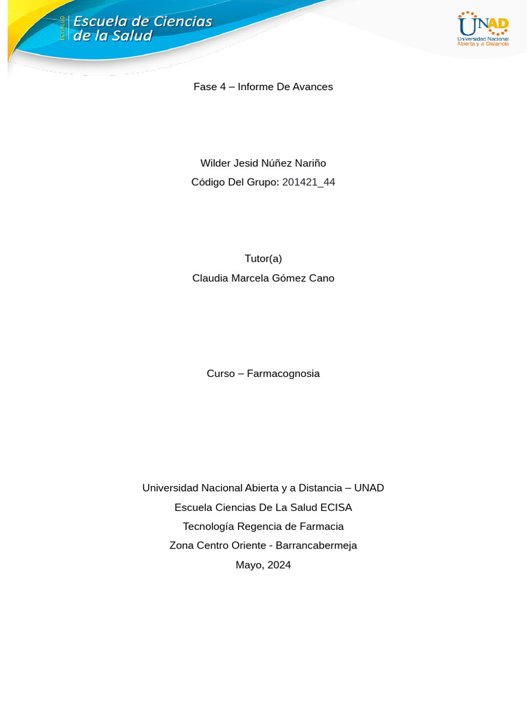 Fase 4 - Informe de Avances | PDF