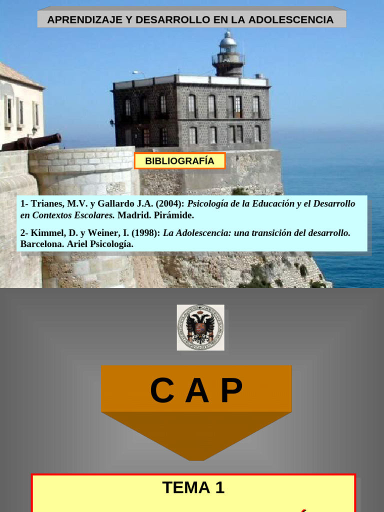 Aprendizaje Y Desarrollo En La Adolescencia Pdf