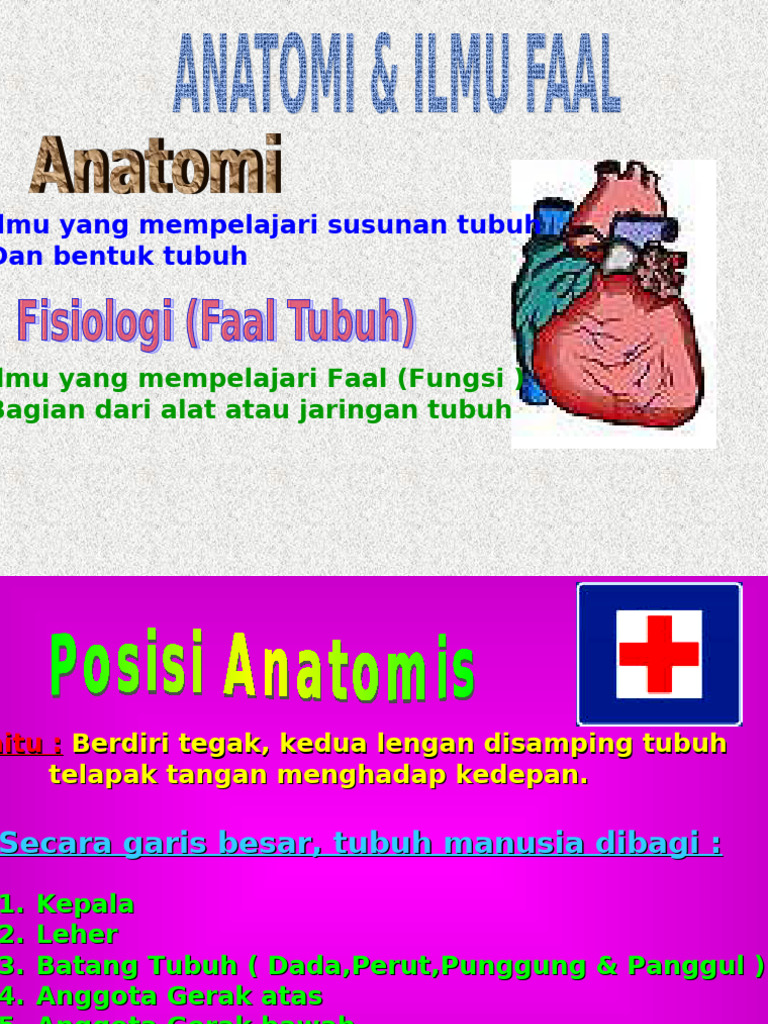 02 Anatomi 1 Pdf