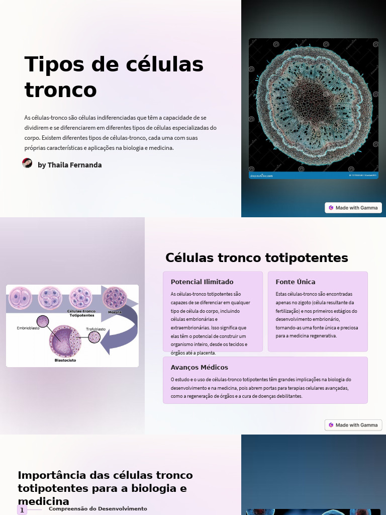 Tipos de Celulas Tronco | PDF