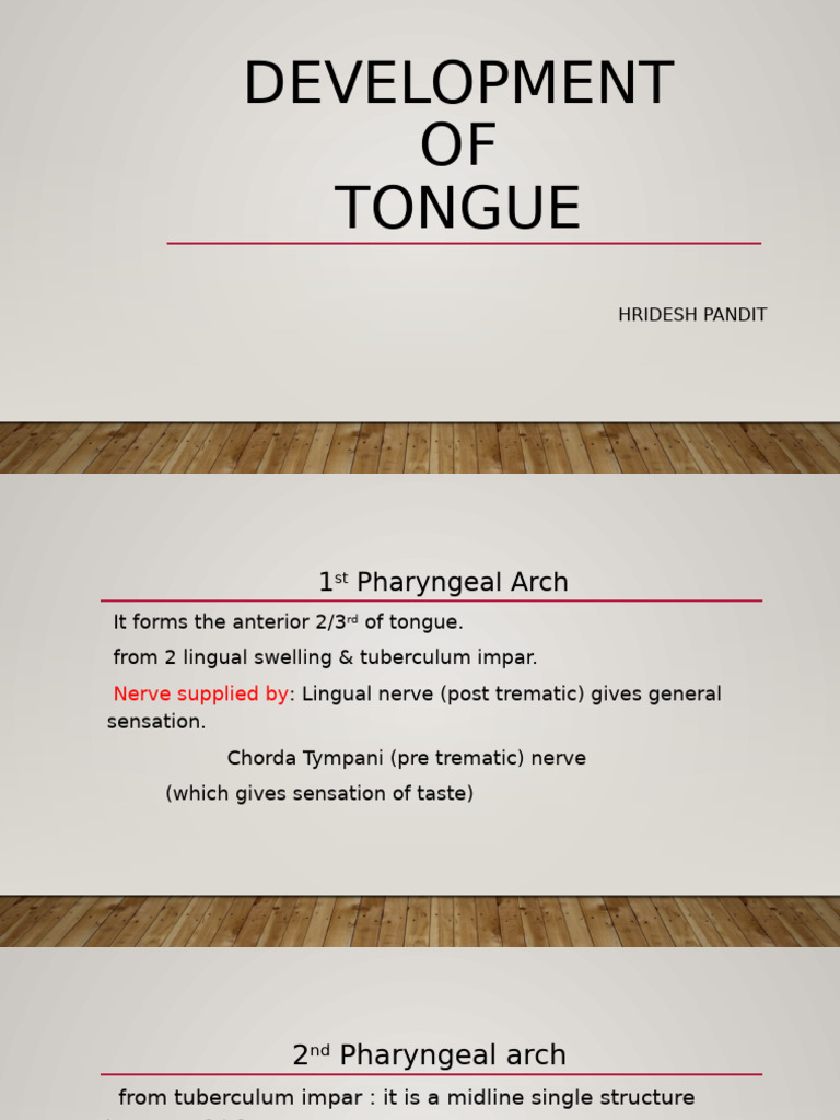 Development of Tongue | PDF