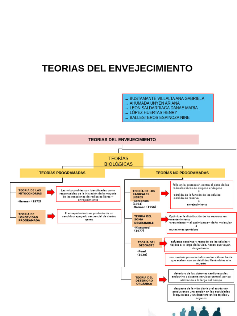Teorías Del Envejecimiento | PDF
