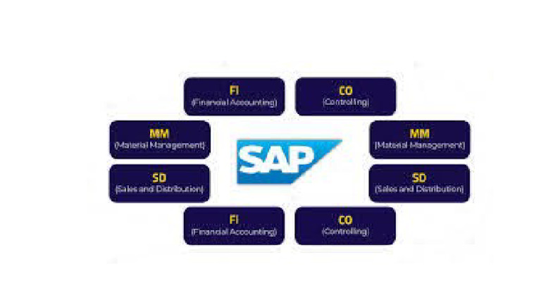 Modulo Sap | PDF