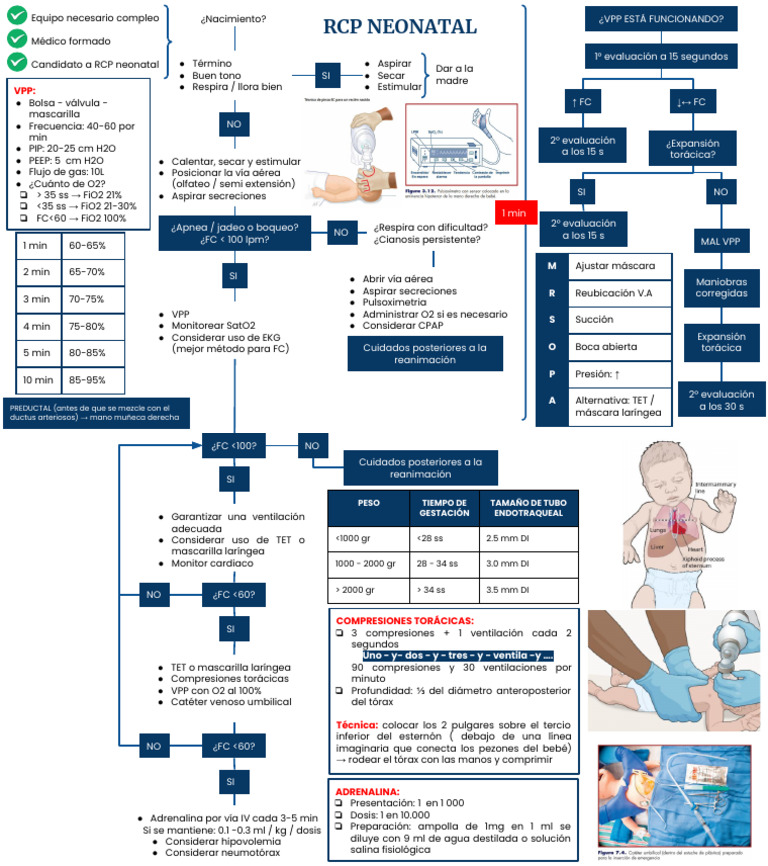 RCP Neonatal | PDF