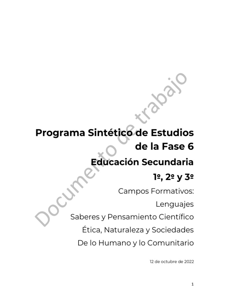 Programa Sintético. Fisica | PDF