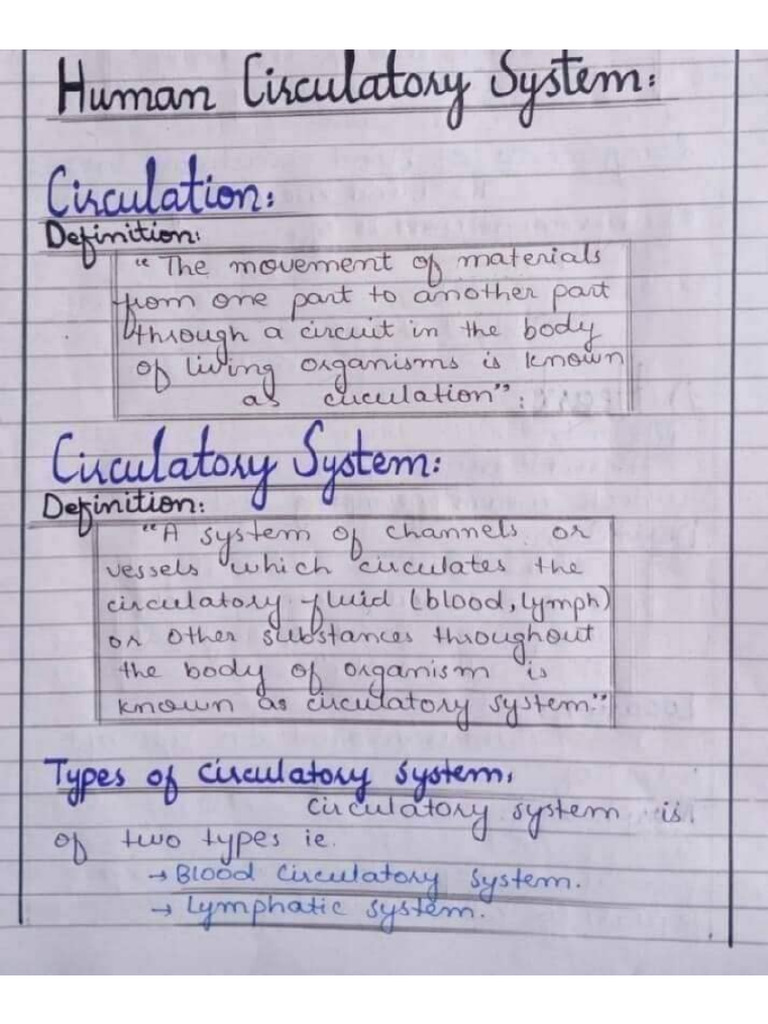 Human Circulation | PDF