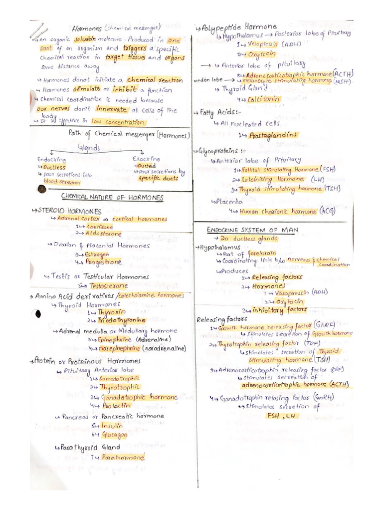 HORMONES With WORKSHEET | PDF