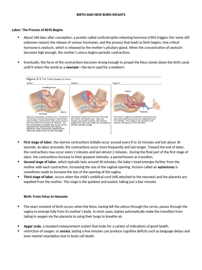 Birth and New Born Infants | PDF | Childbirth | Science & Mathematics