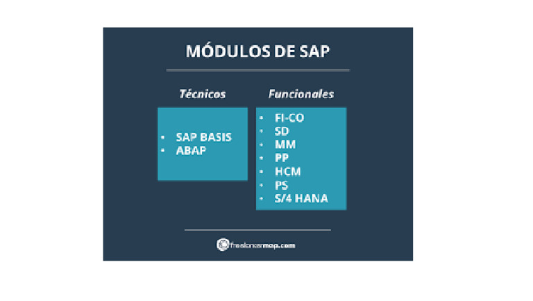 Modulo Sap5 | PDF