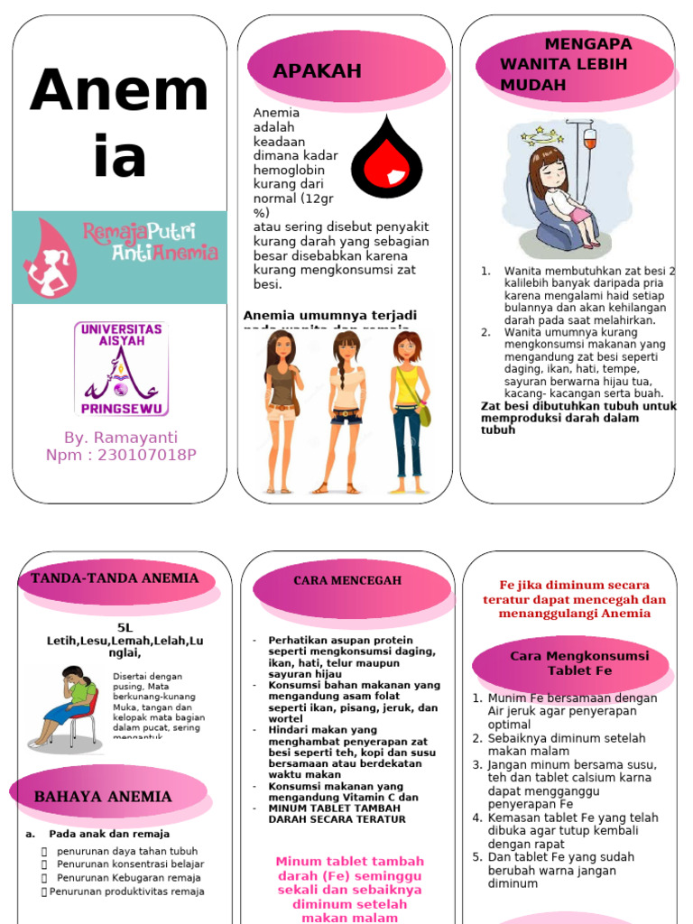 Leaflet Anemia | PDF