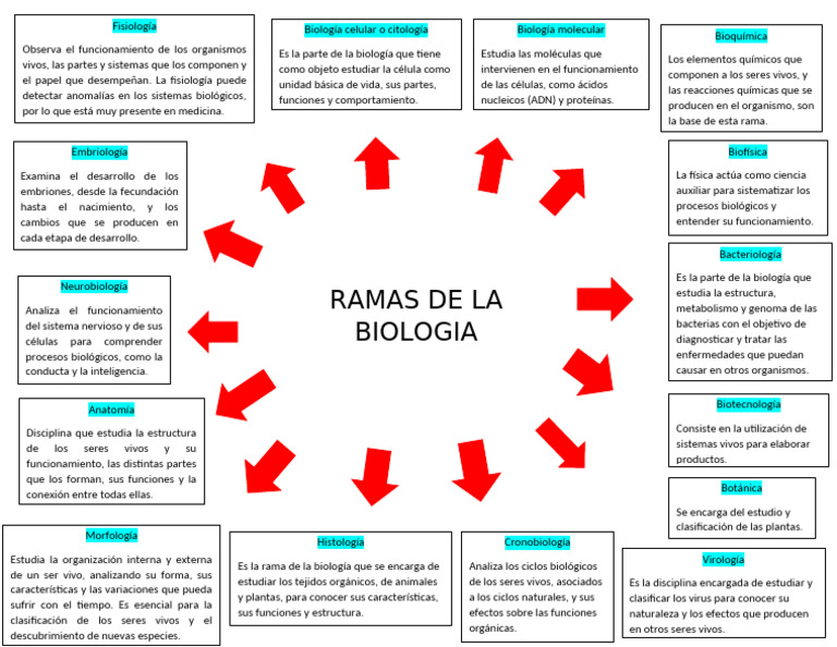 Ramas de La Biologia | PDF