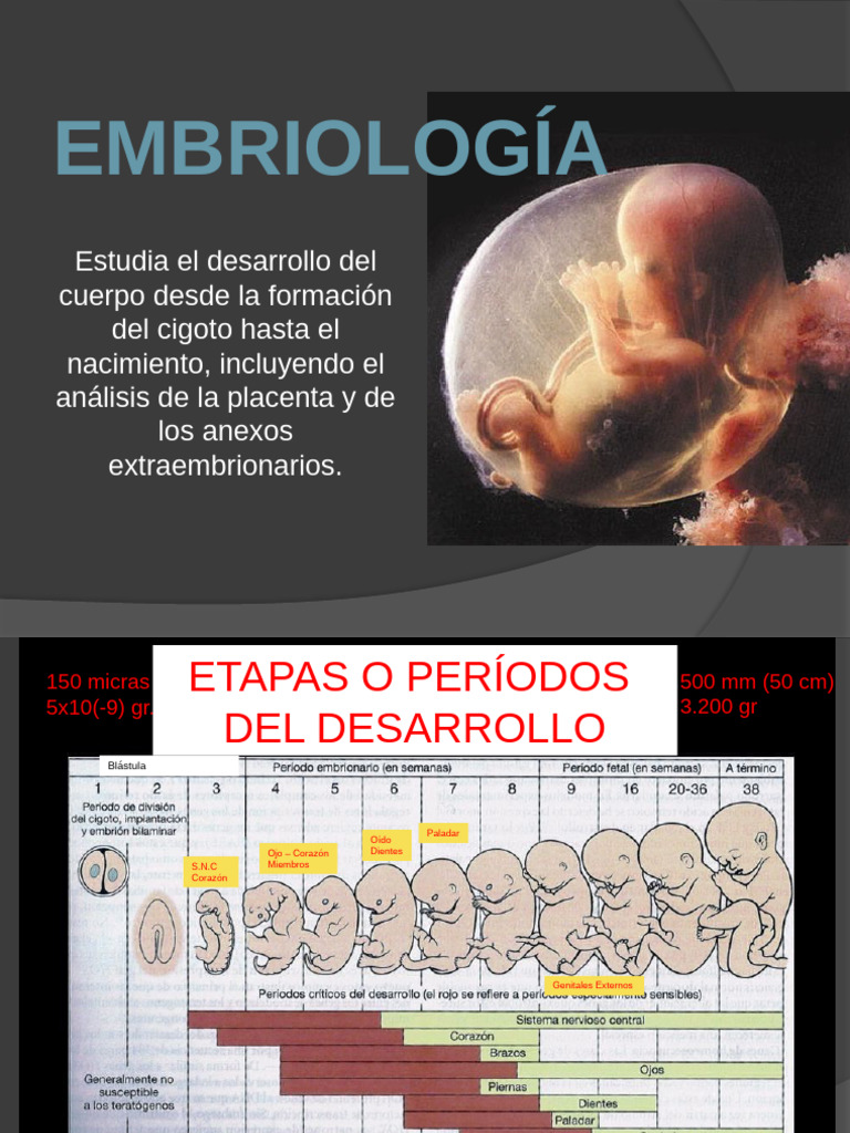 01 Introduccion | PDF