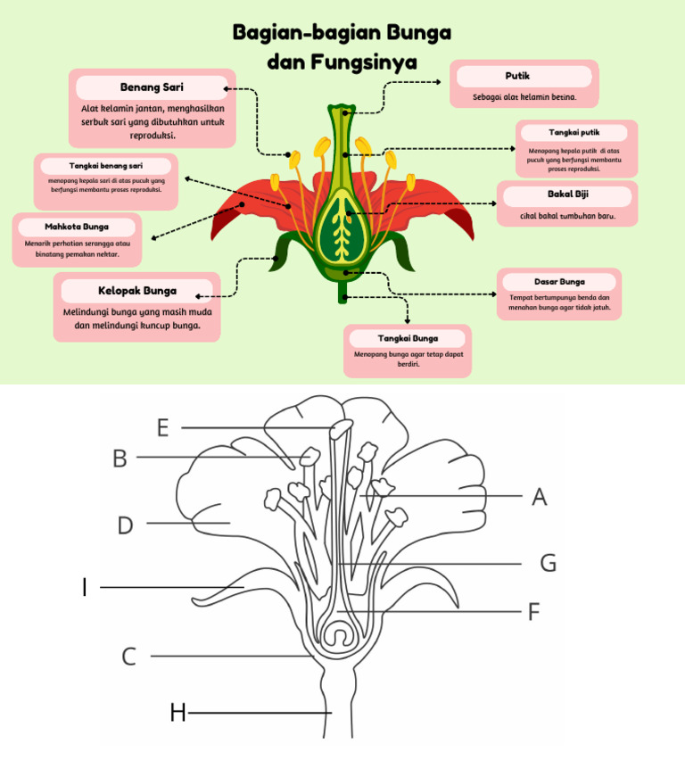 Bagian-Bagian Bunga | PDF
