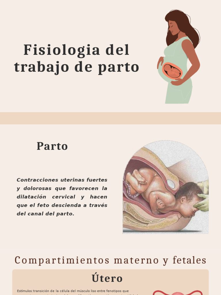 Fisiologia Del Trabajo de Parto Susy | PDF