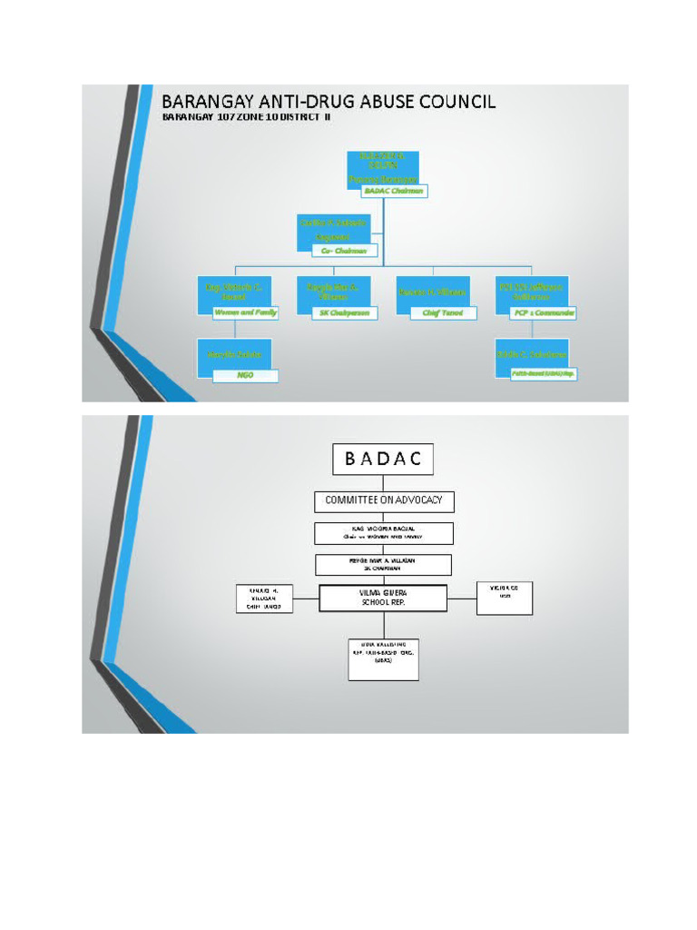 Badac Organizational Structure 2023 | PDF