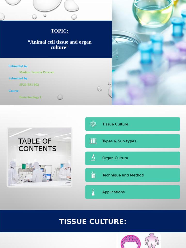 Biotech Presentation | PDF