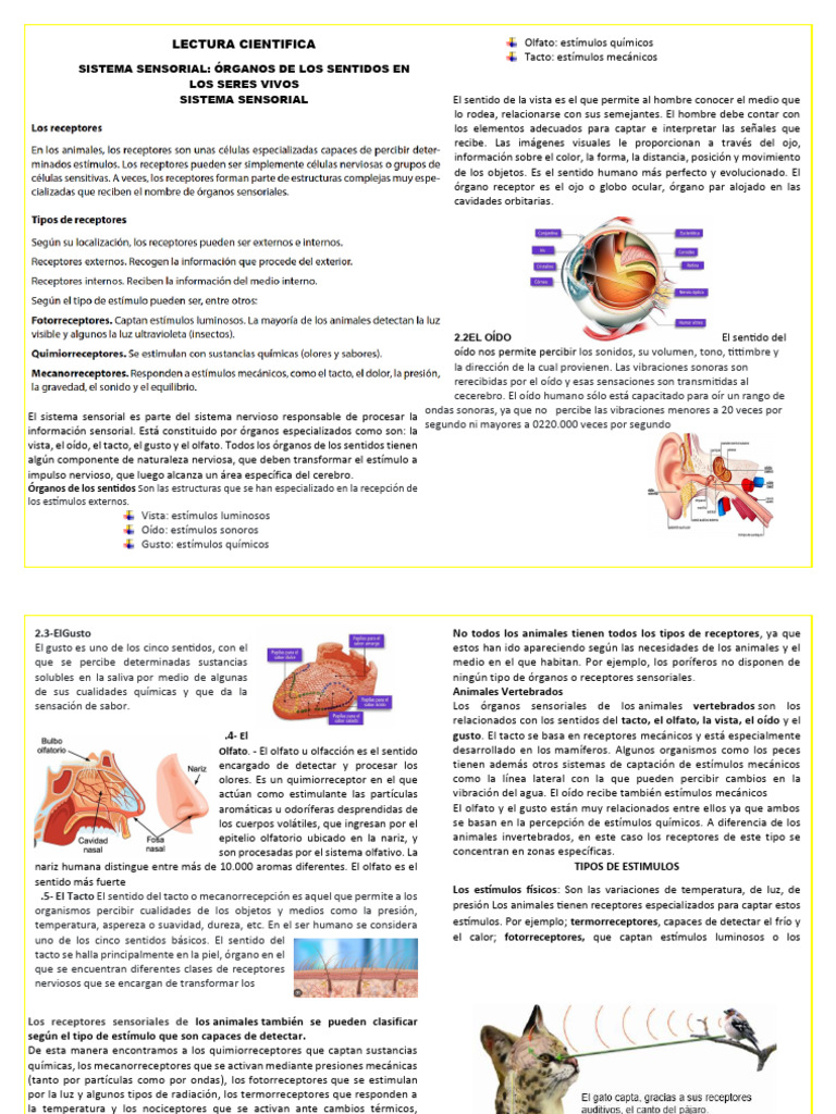 Lectura Cientifica-3 | PDF