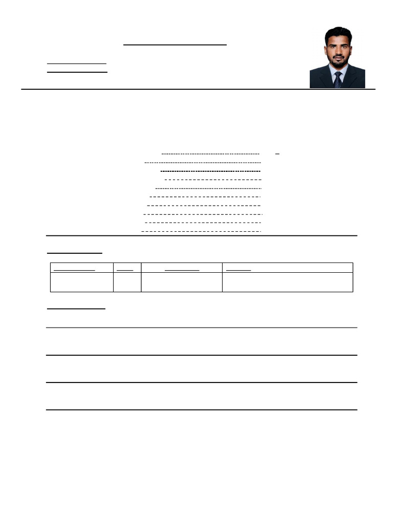Hussain Raza CV Template1 1 | PDF