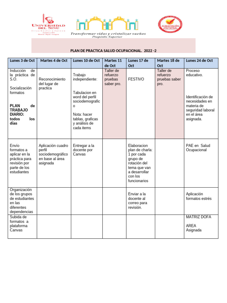 Plan de Practica. Salud Ocupacional | PDF