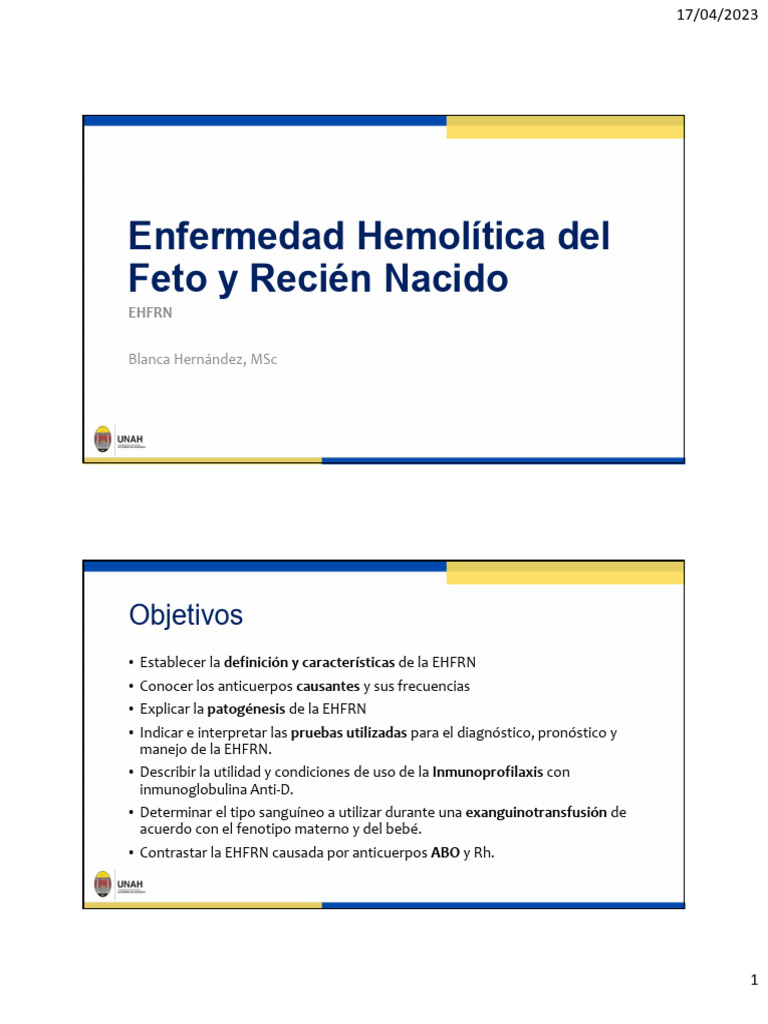 13 Ehfn Es | PDF | Medicina | Anatomía