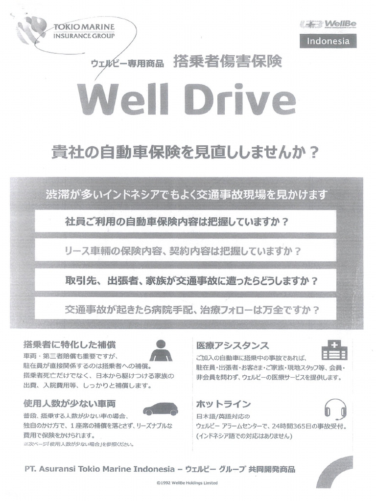 Passenger Insurance Flyers | PDF