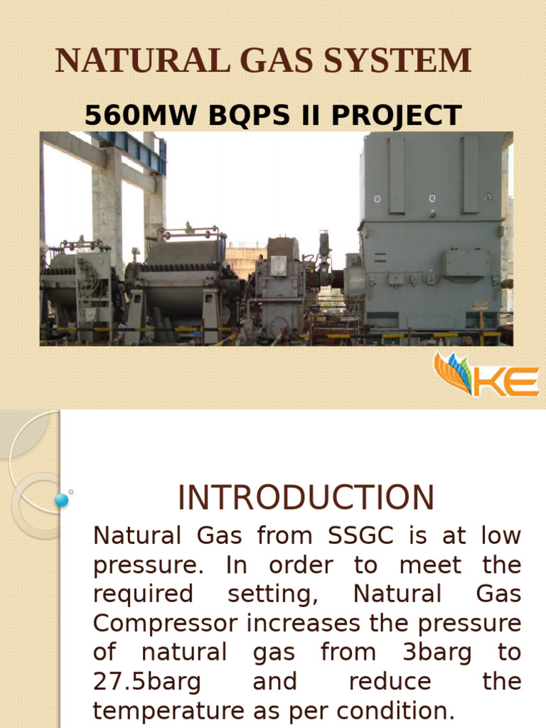 Natural Gas System | PDF
