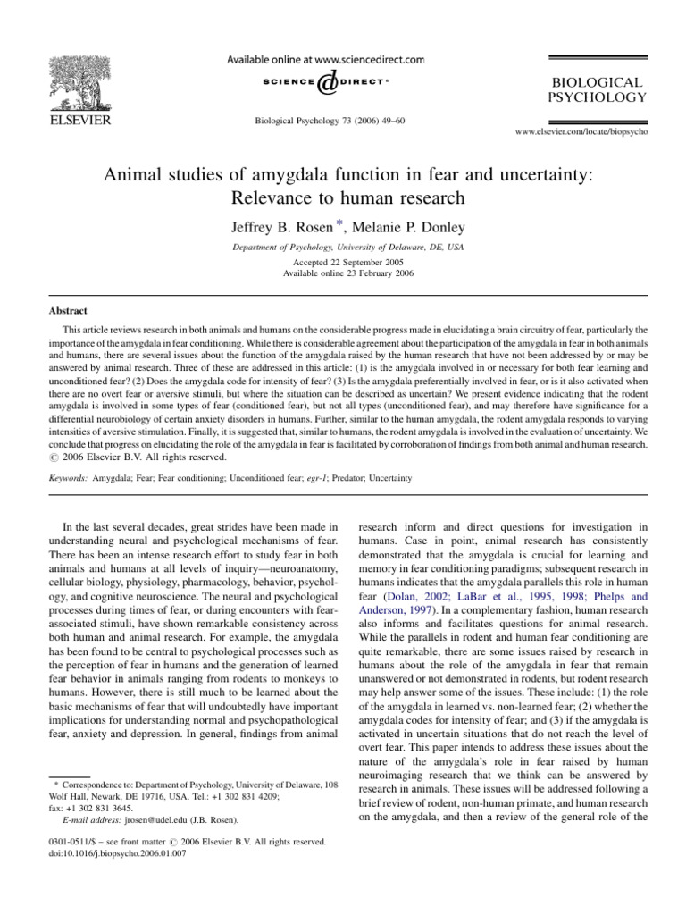 Animal Studies of Amygdala Function in Fear and Uncertainty - Relevance ...
