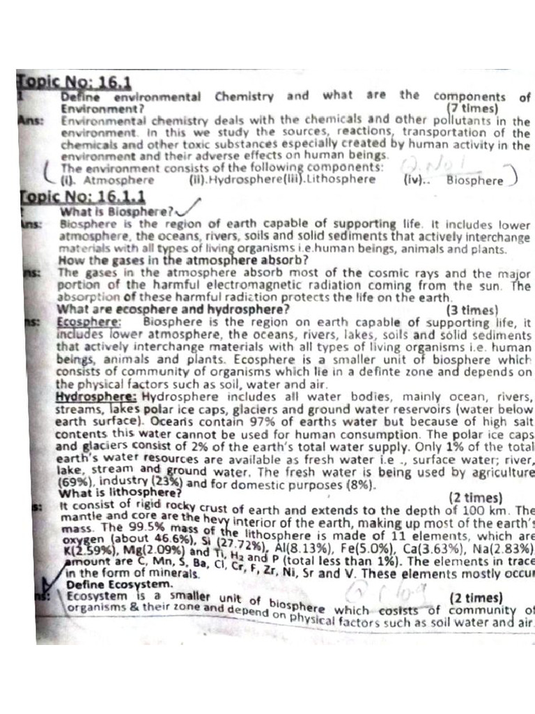 chapter 16 short | PDF