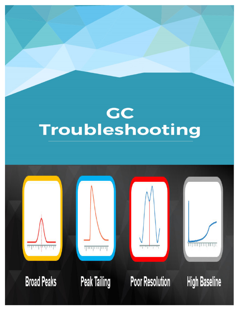 Gas Chromatography Troubleshooting - Take Away | PDF | Gas ...