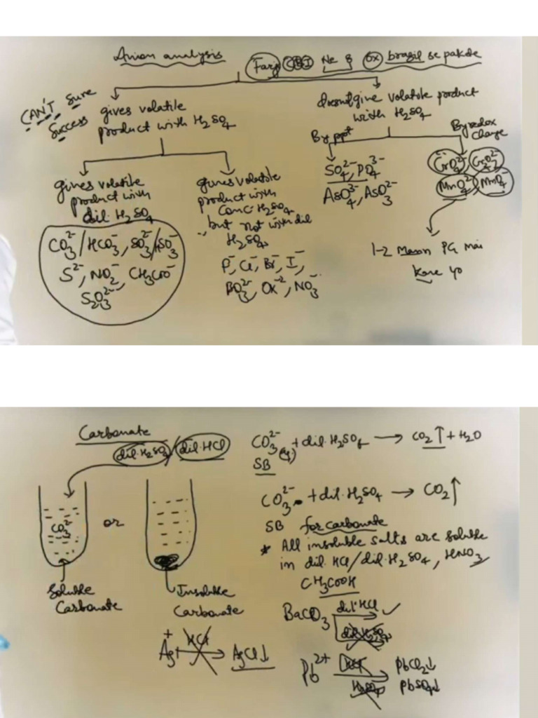 Salt Analysis Anions PMS | PDF
