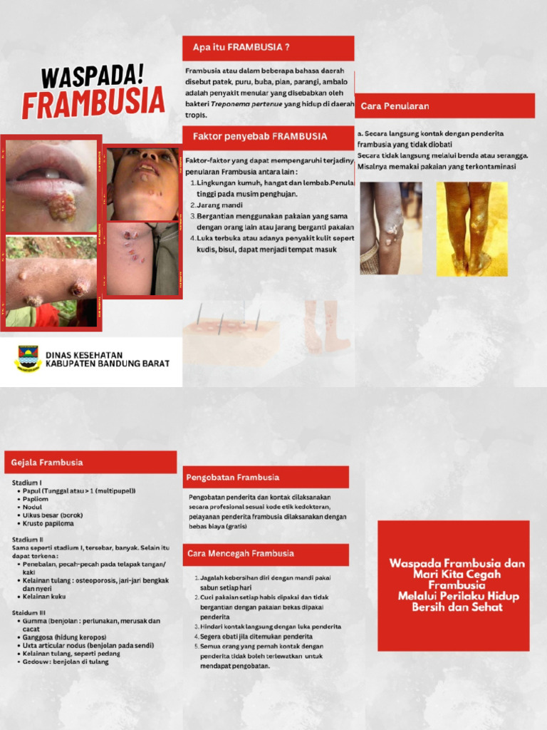 Leaflet Frambusia Rev | PDF