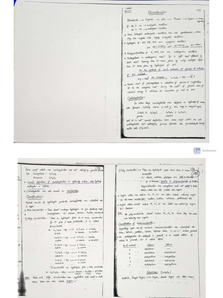 Biomolecules Class 12 JEE Part 2 | PDF