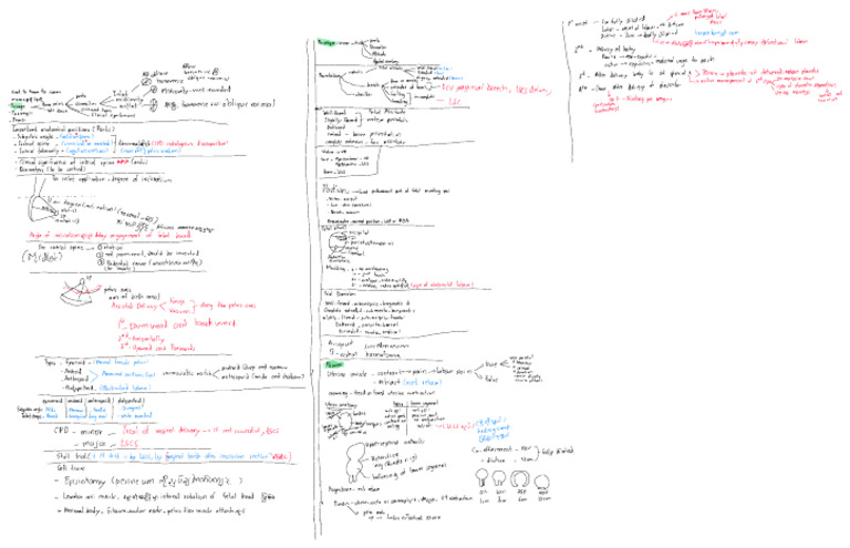 Basics of Mechanism of Labour (Anatomy and Functions) | PDF
