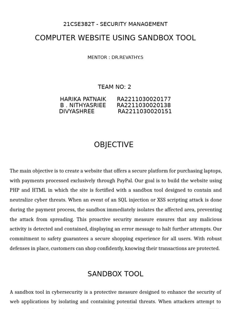 Website Using Sandbox | PDF