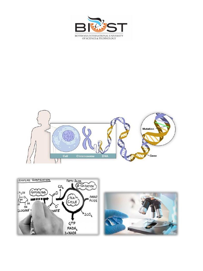 BIOL 101 Lab Manual 2024 | PDF