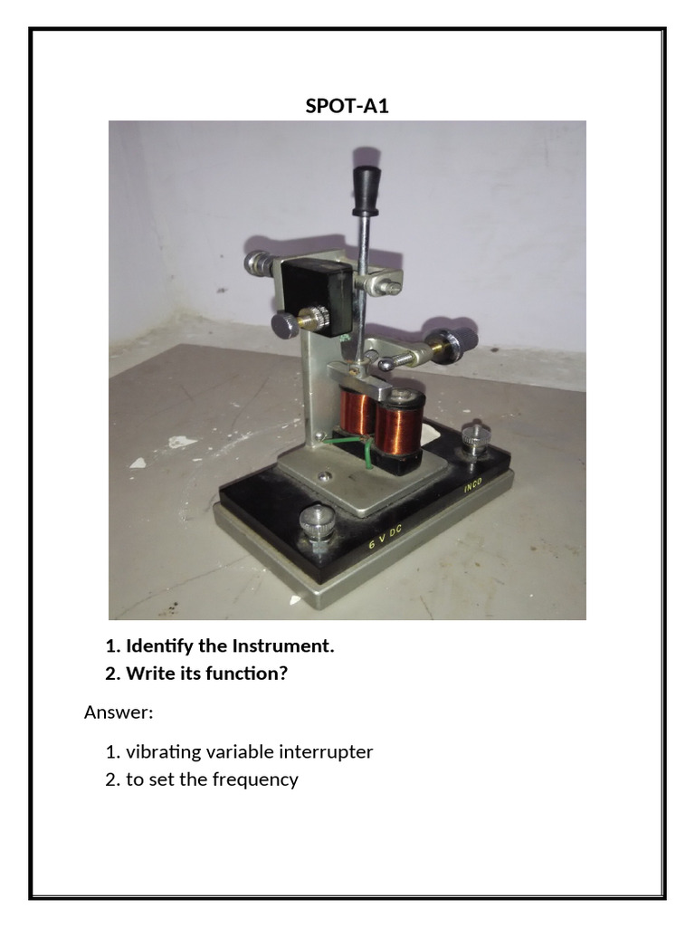 Amphibian Spotting With Answers_044257 3 | PDF