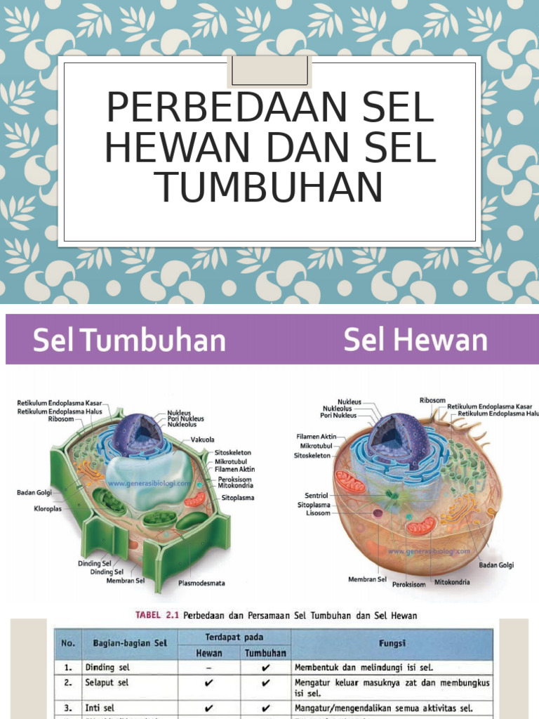 Perbedaan Sel Hewan Dan Sel Tumbuhan | PDF